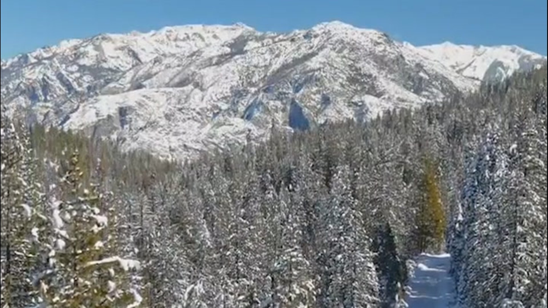 California's massive sequoias covered with snow | 9news.com