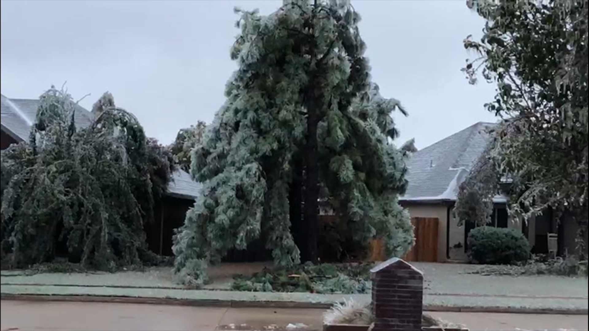 Tree damage in Oklahoma after ice storm | 9news.com