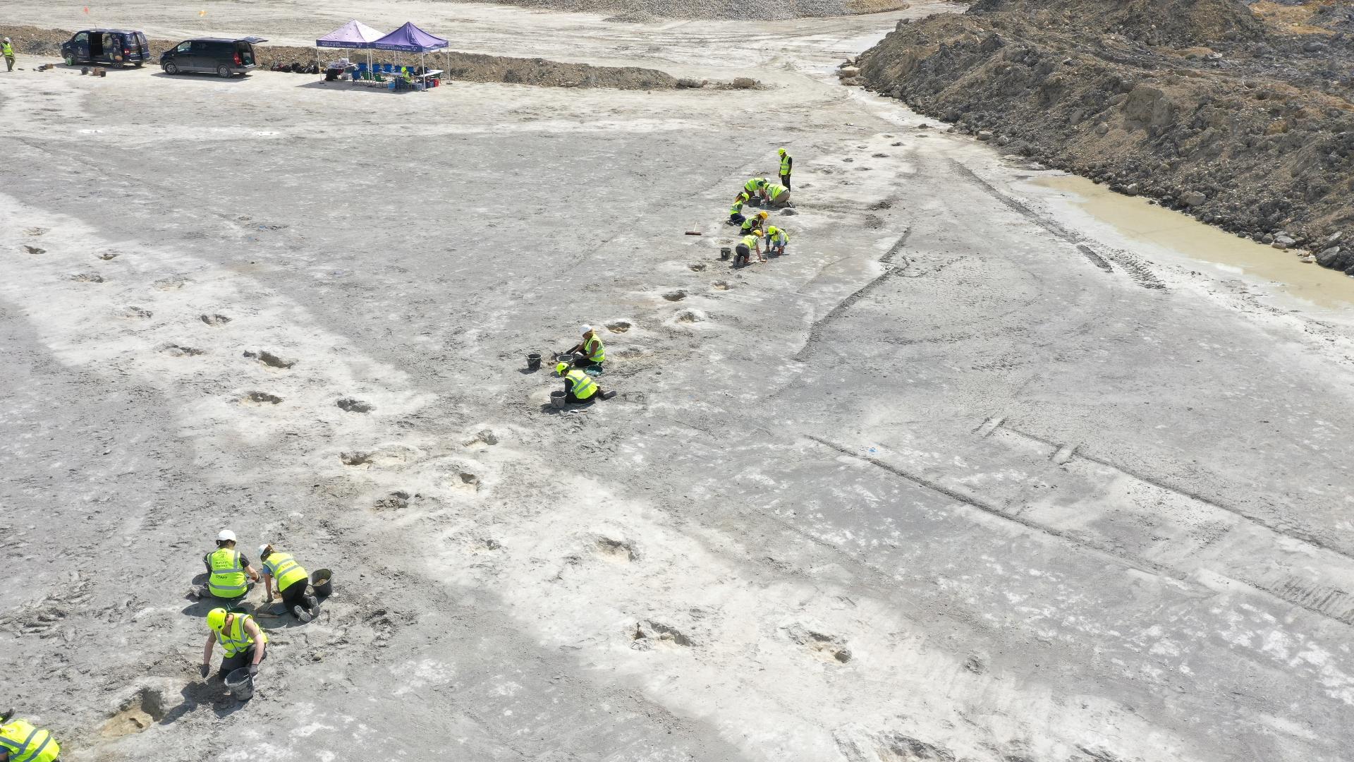 Researchers discovered 'dinosaur highway' tracks dating back 166 ...