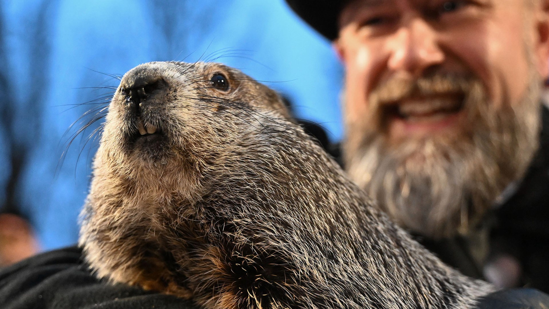 Groundhog Day 2025: Did Punxsutawney Phil see his shadow? | 9news.com