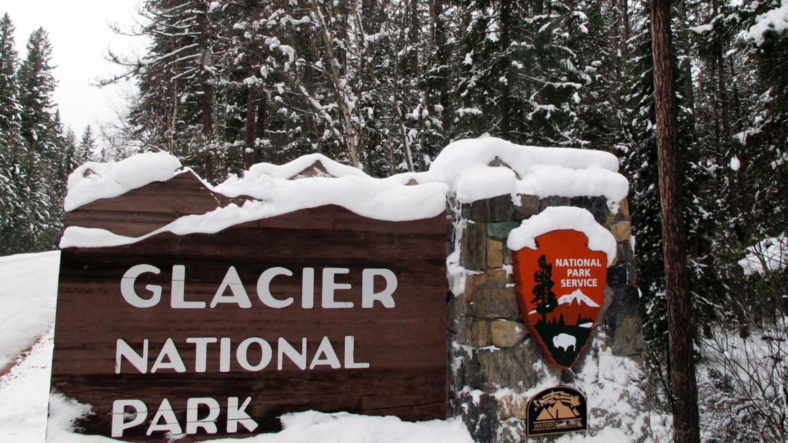 Missing hiker found dead, likely from first fatal bear attack at ...