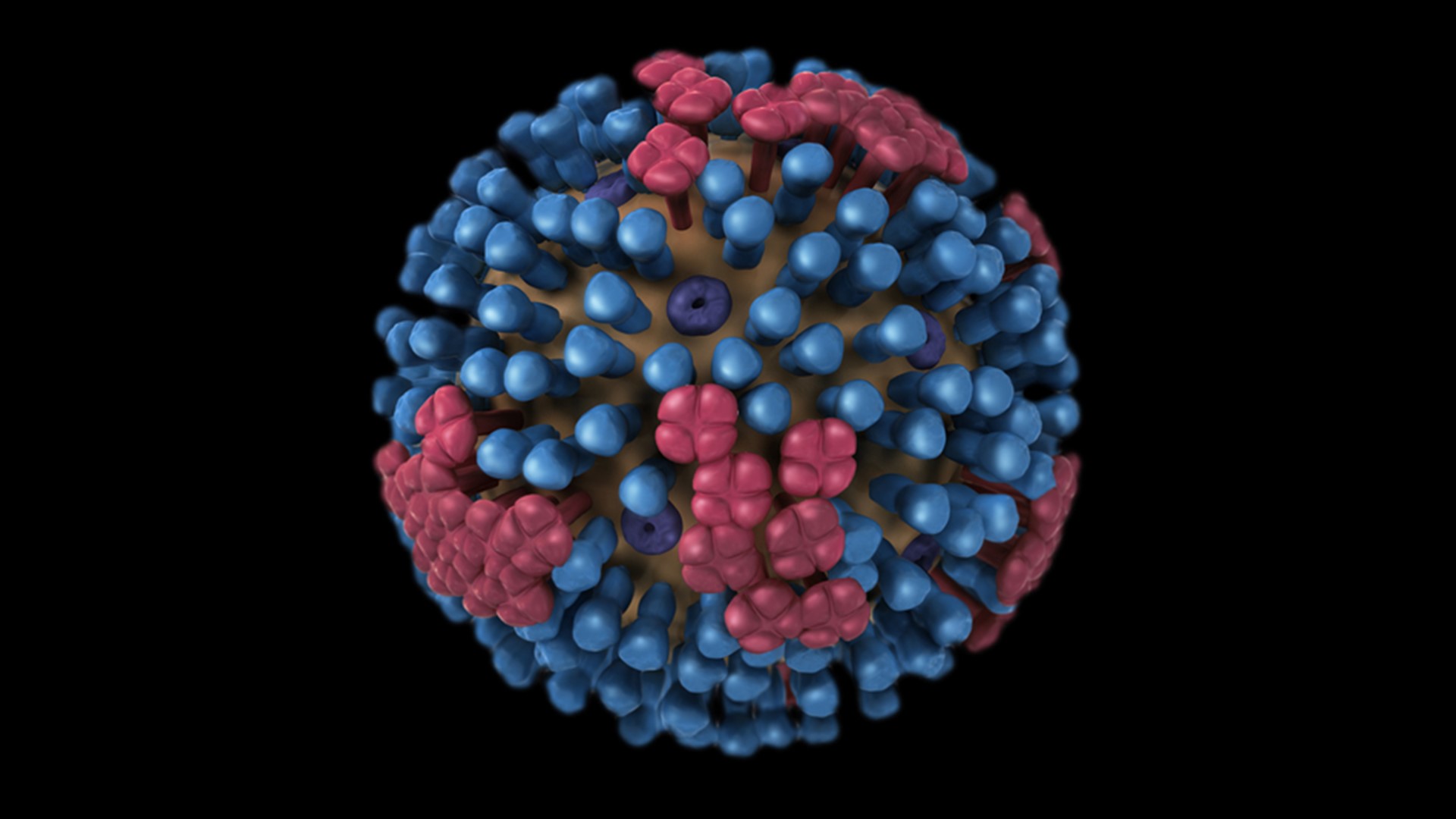 Earn $3,310 for intentionally catching the flu | 9news.com