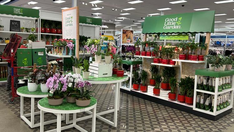 Target is lowering prices on over 3,000 products this spring | 9news.com