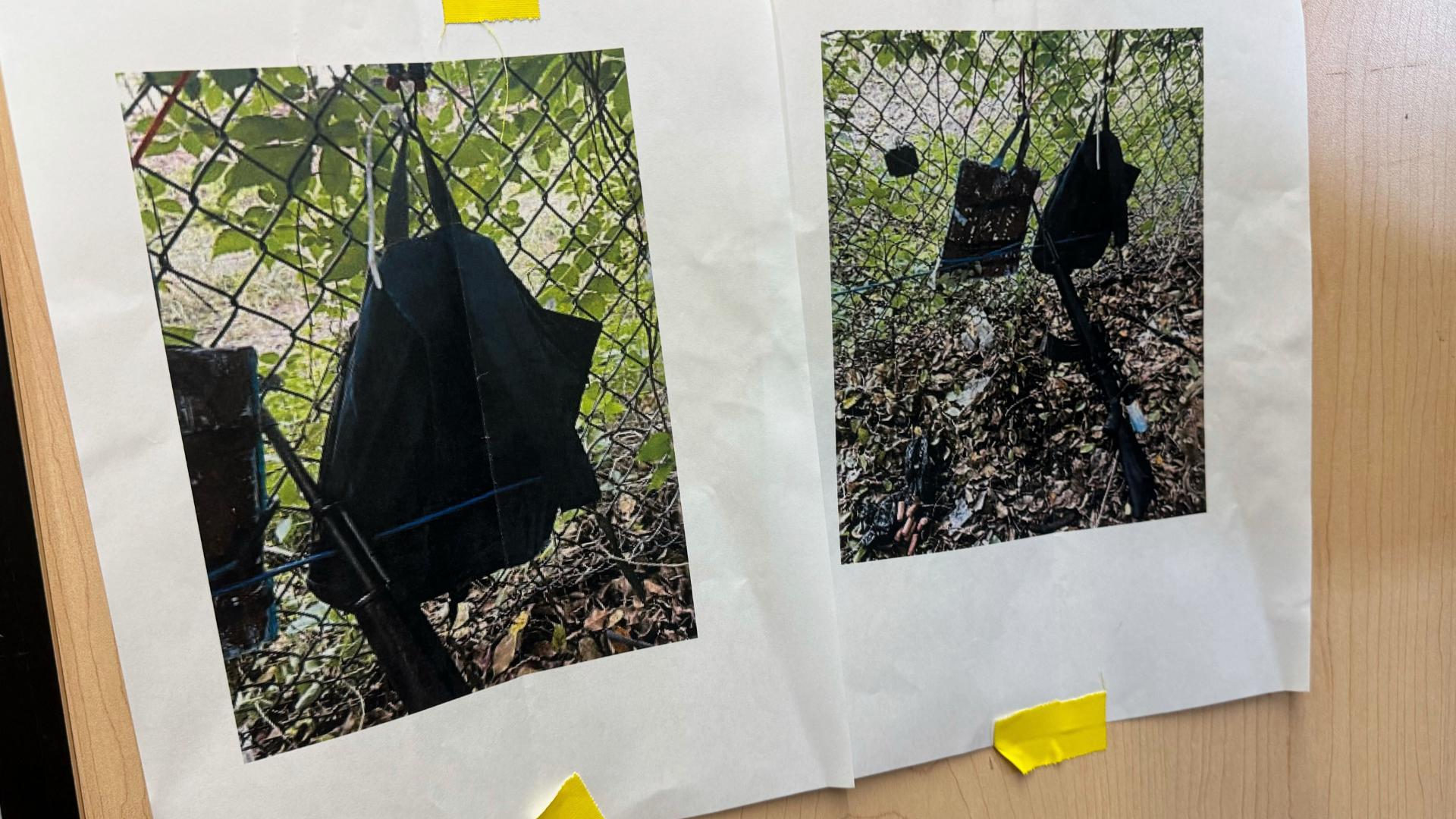 Trump safe after apparent assassination attempt in Florida: FBI | 9news.com