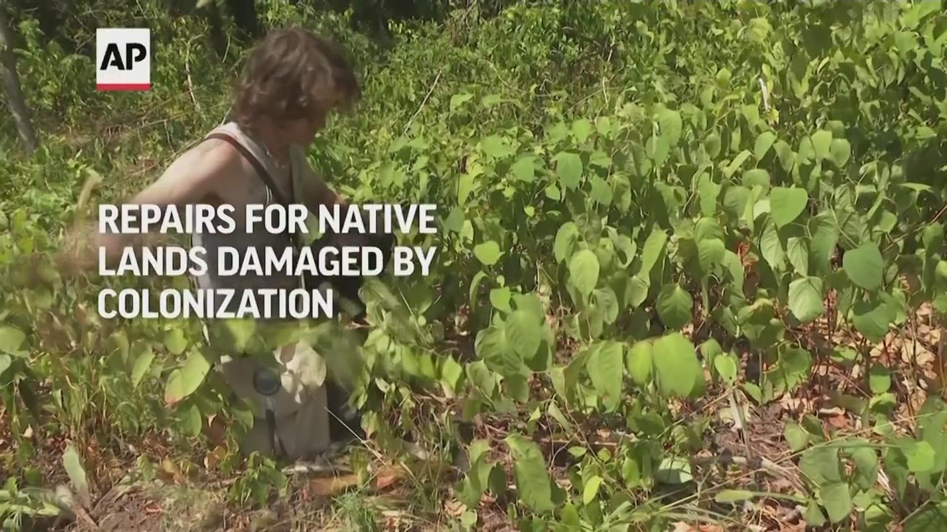 Native groups seek to repair damaged lands: 'It's very significant ...