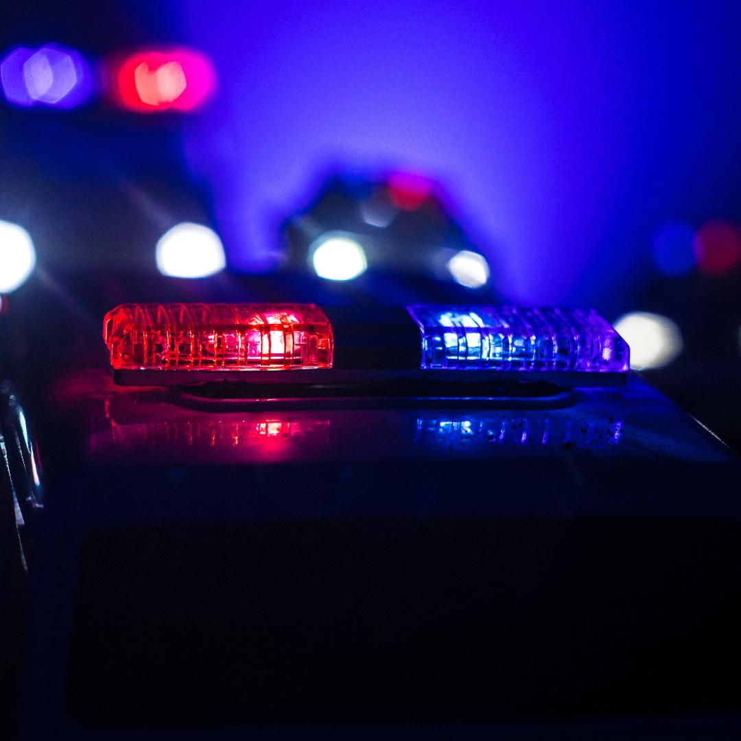 Group dressed as Santas and elves rob Canadian grocery store, steal $3K ...
