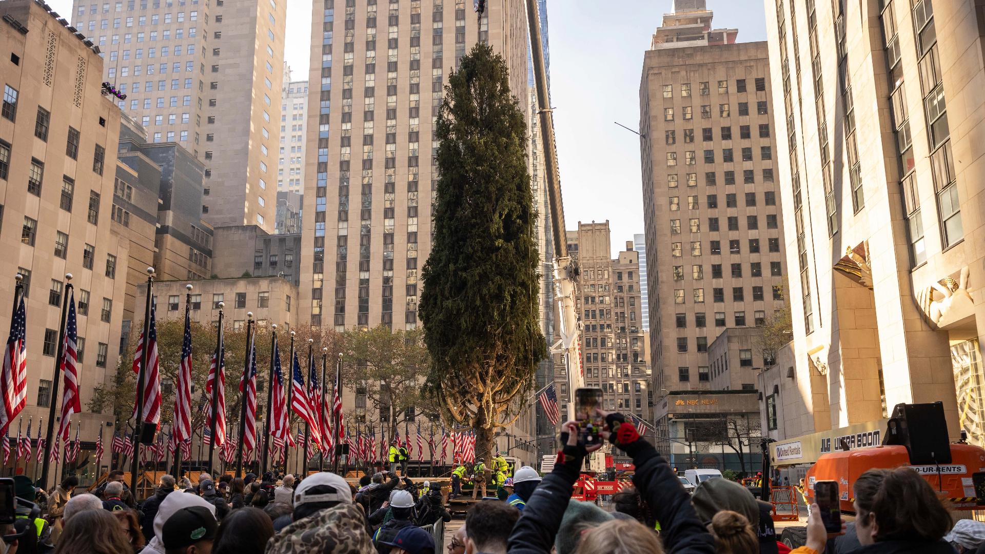 Rockefeller Center's Christmas tree arrives in NYC | 9news.com