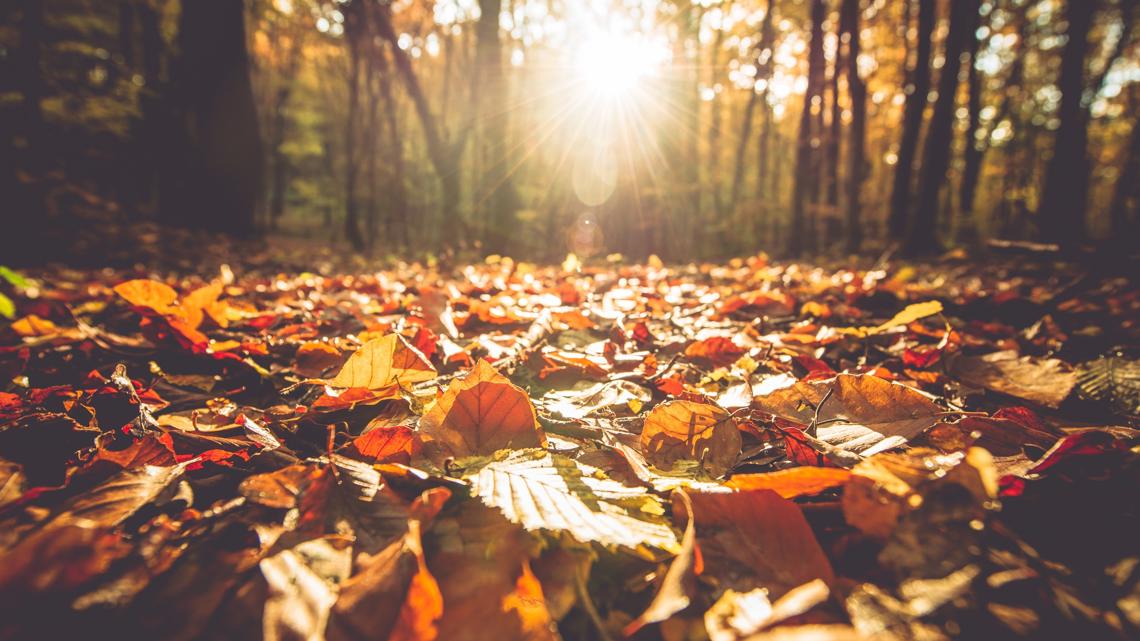 When does fall start in 2025? | 9news.com