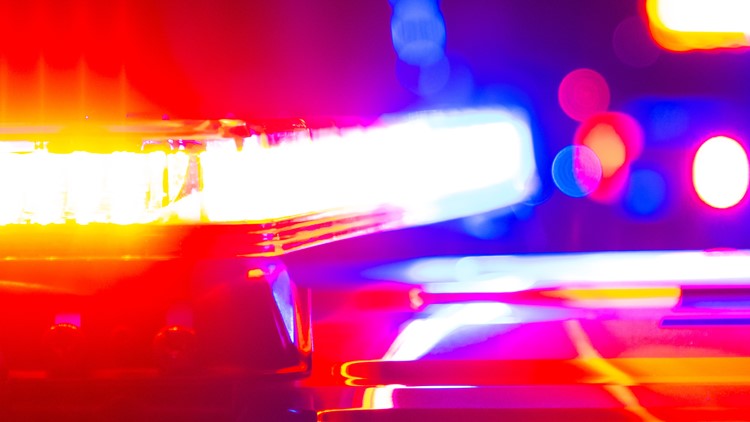 Unusual bee attack in French town leaves 24 people injured | 9news.com
