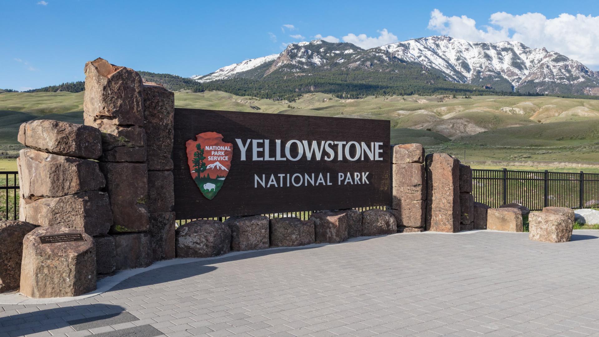 2 hikers injured in grizzly bear attack at Yellowstone National Park ...