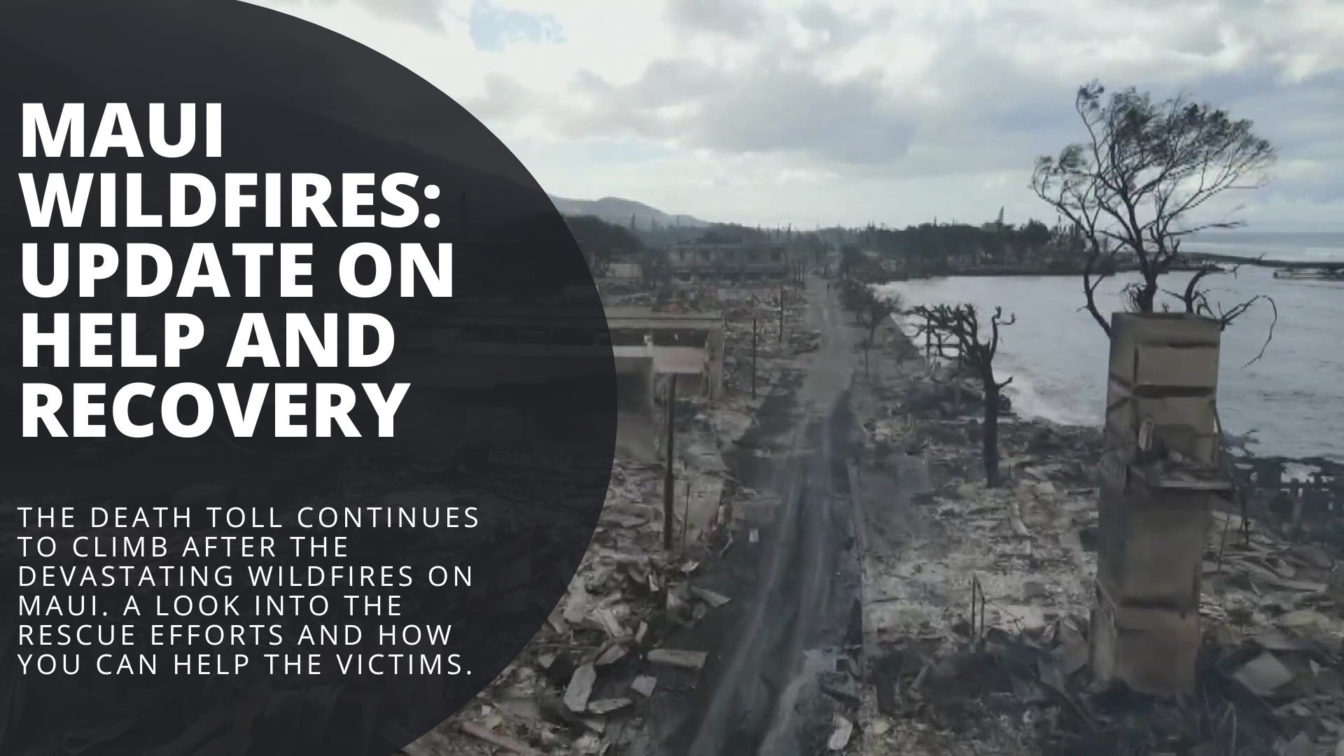 Maui, Hawaii wildfire update: Many still missing, 114 dead | 9news.com