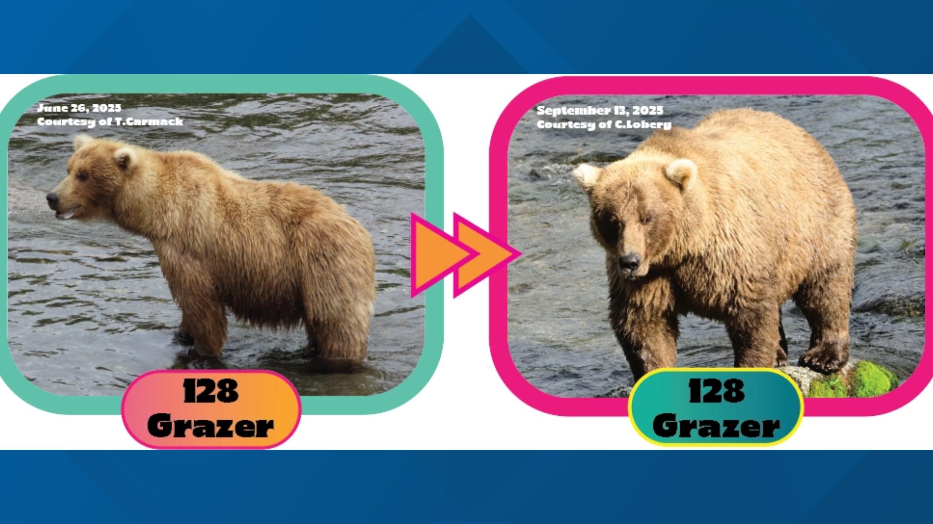 Fat Bear Week 2025 competitors: From broken-jawed chunk to defending ...