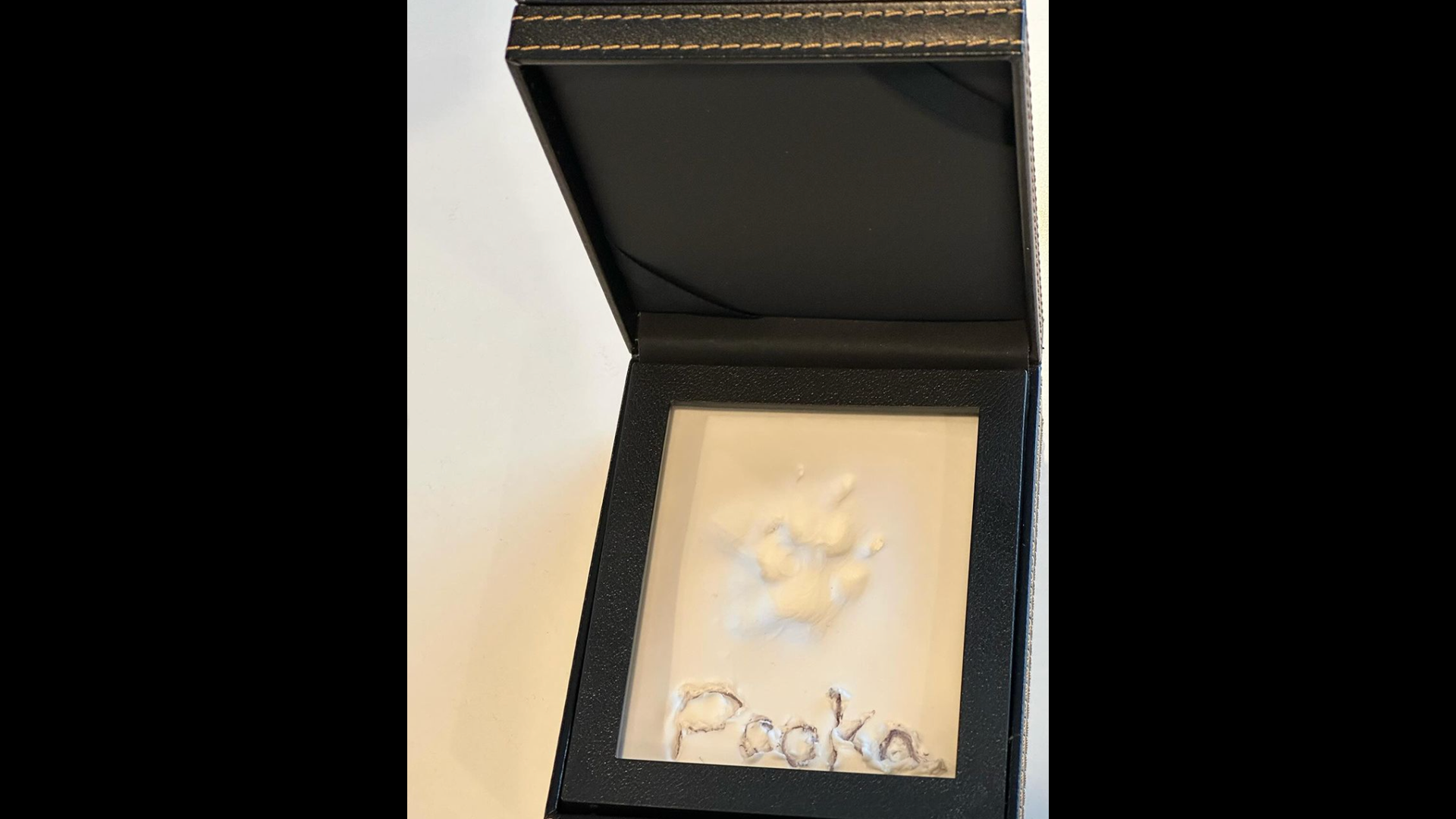 Lizzo Is 'Heartbroken' After Her Dog Pooka Died on Christmas Eve ...