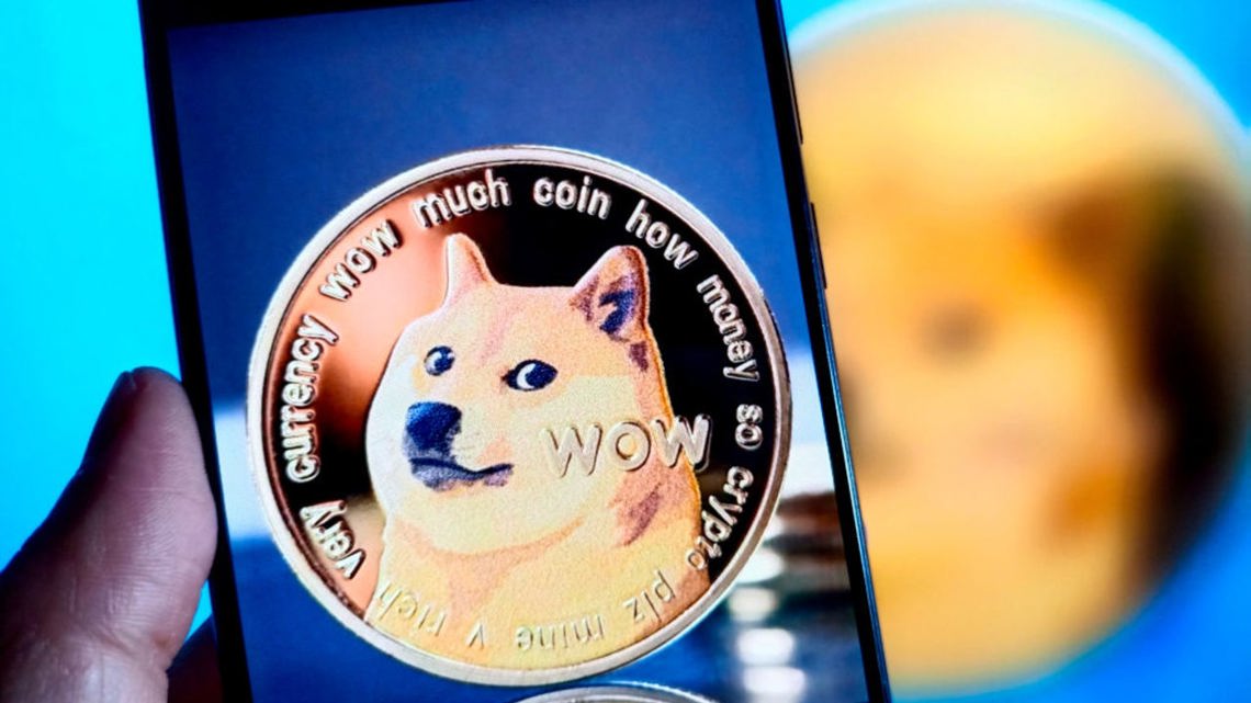 Kabosu, the Shiba Inu Who Inspired the 'Doge' Meme, Dead at 18 | 9news.com