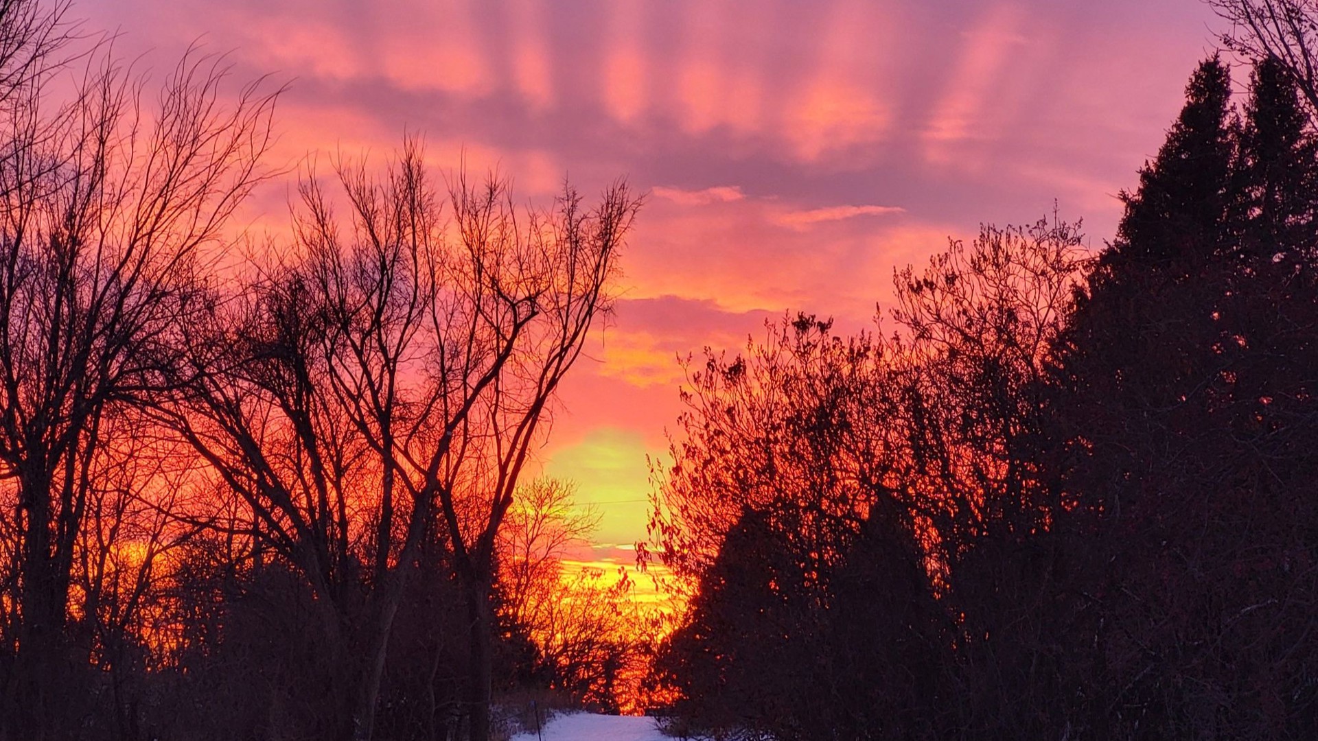 Sunsets flood Facebook after daughter requests photo from day her ...