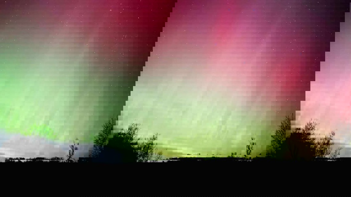 Denver Broncos superfan "Barrel Man" celebrated in History Colorado ...