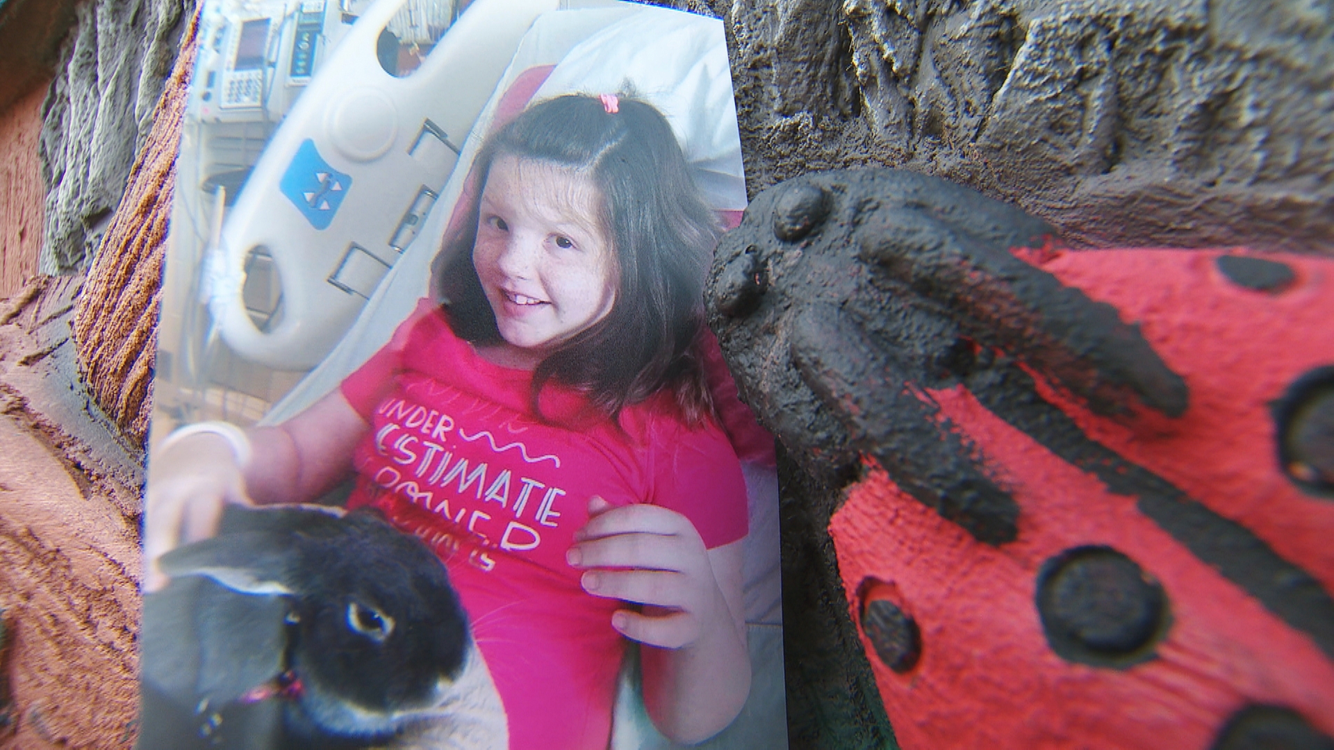 Mothers build life-sized fairy garden to honor their daughters | 9news.com