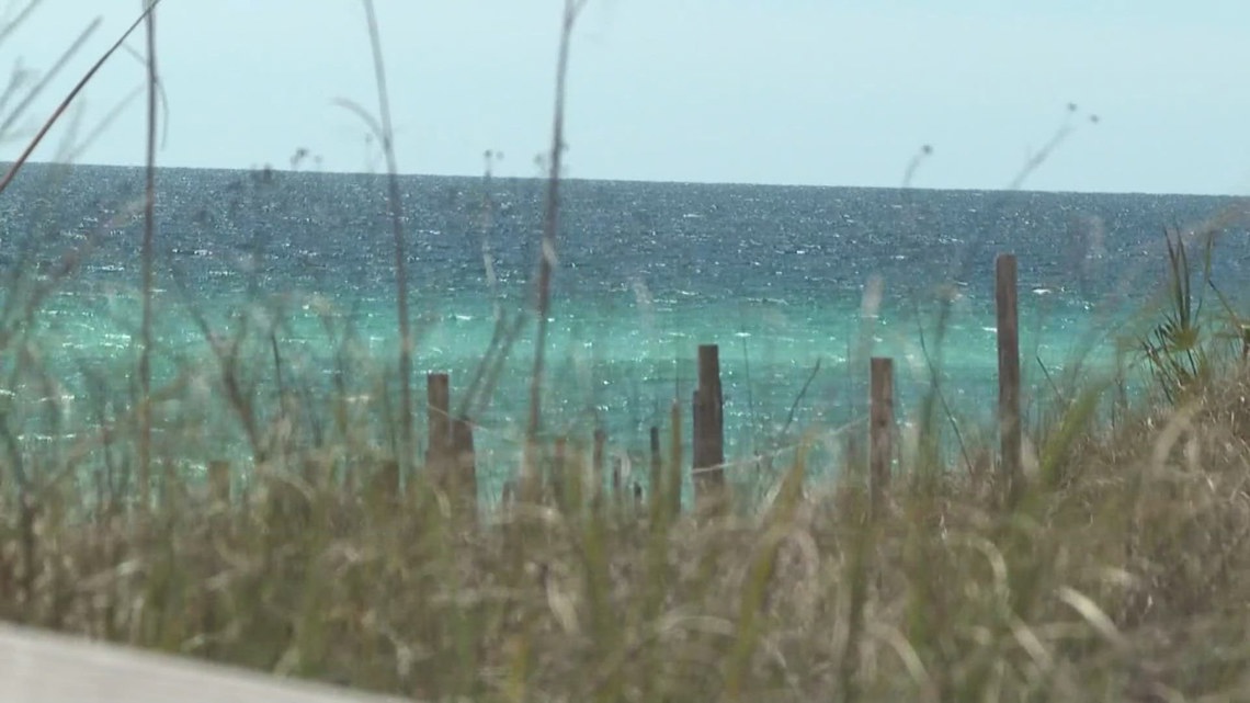 Three hurt after shark attacks in Florida waters | 9news.com