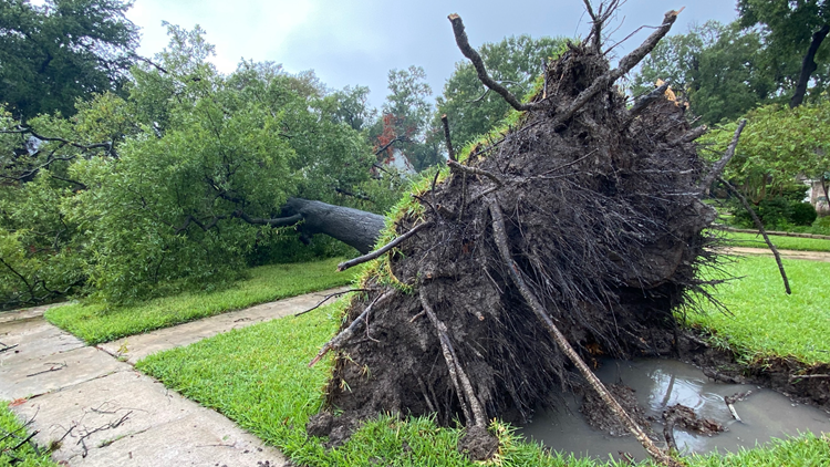 Tracking Tropical Depression Nicholas: Impact after landfall | 9news.com
