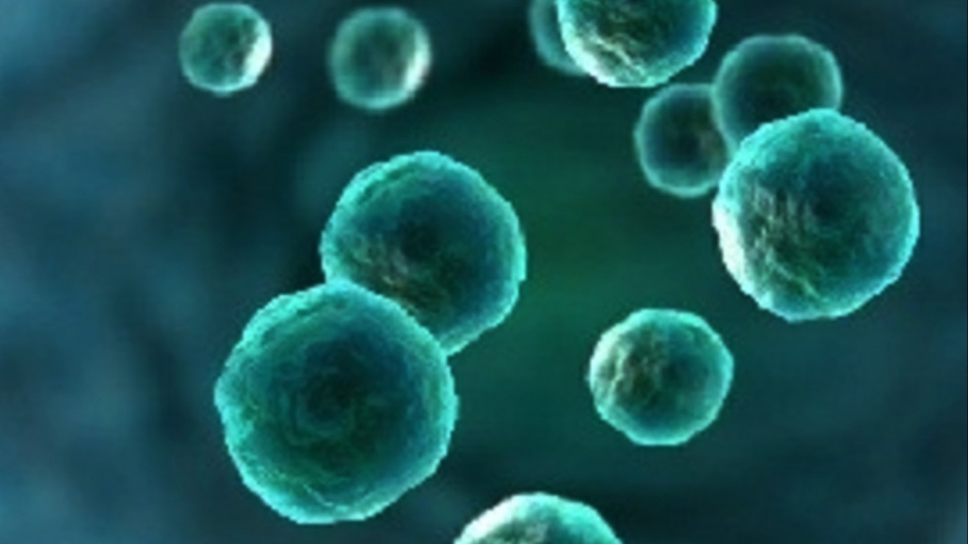 Cyclospora outbreak reported on Colorado Western Slope | 9news.com