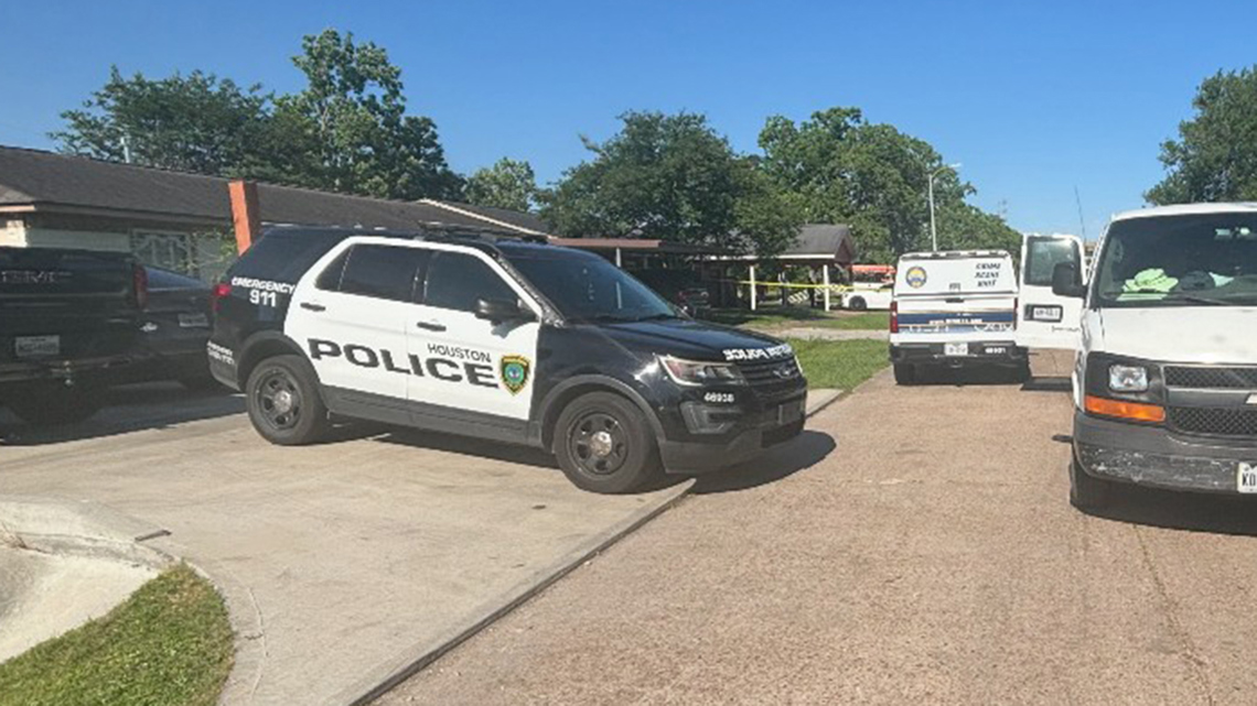 Houston shooting: 1 dead, 15 injured at family party, says HPD | 9news.com