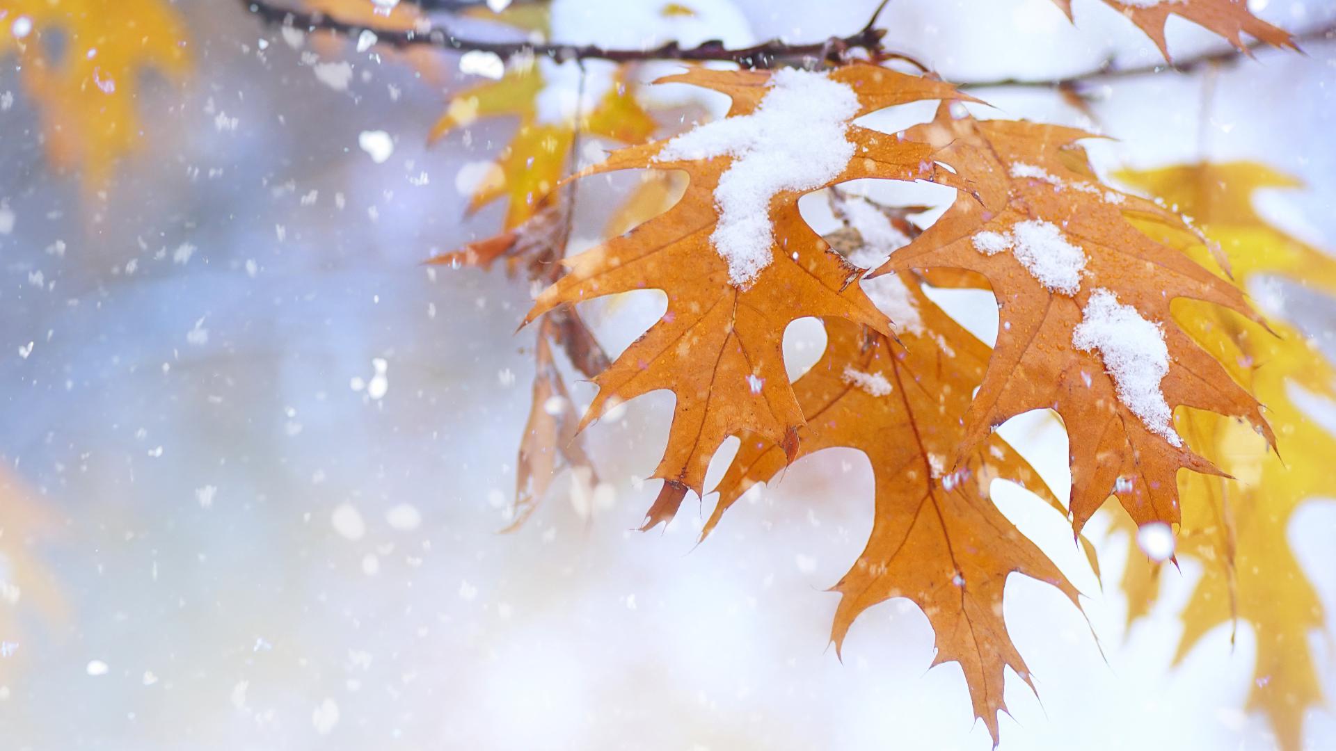 How accurate is the Farmers' Almanac? Weather experts weigh in | 9news.com