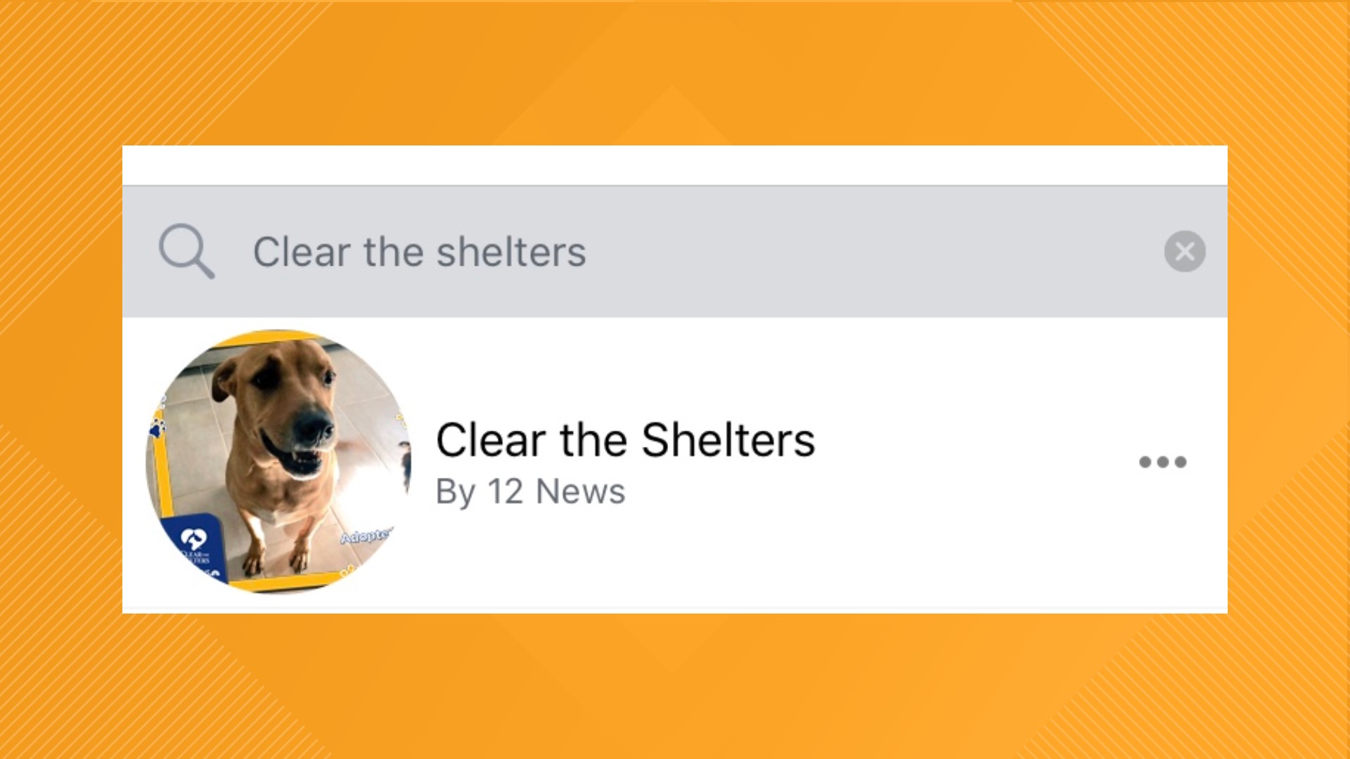 How to change your Facebook profile picture to help Clear the Shelters ...