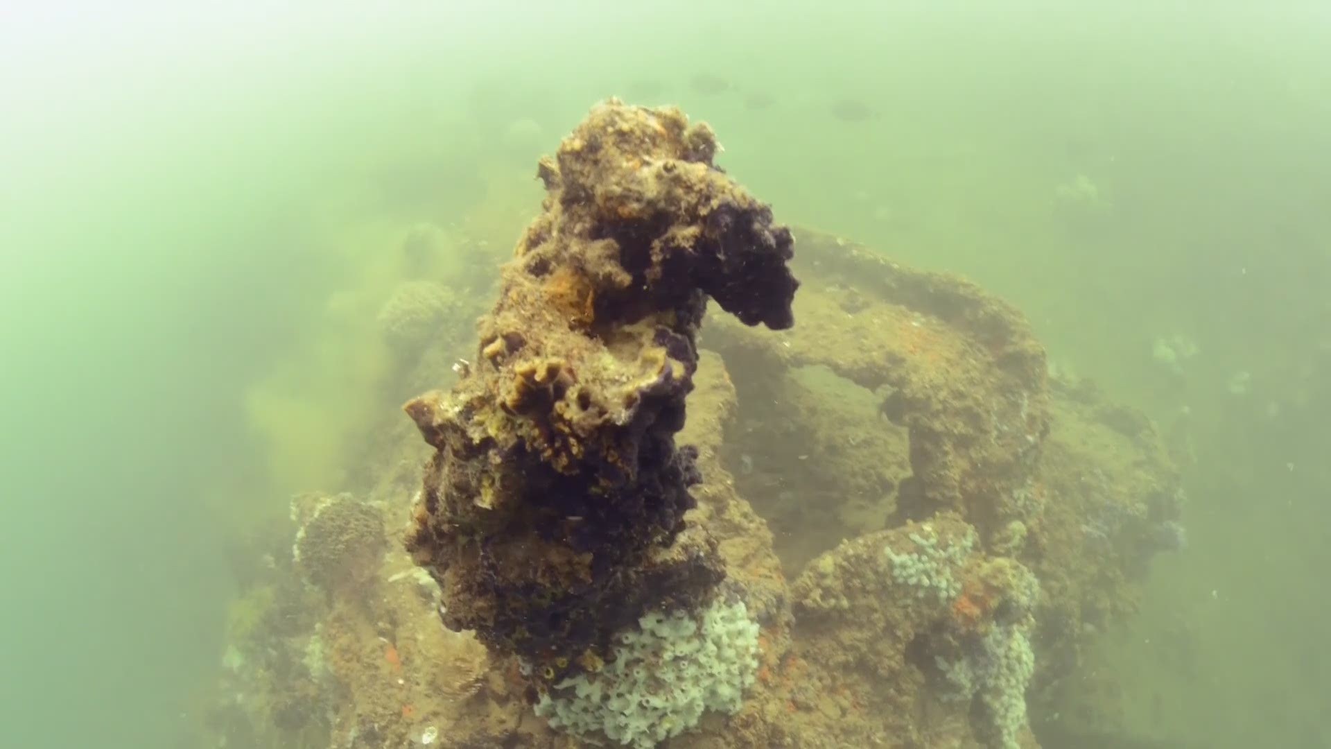 Underwater video and images of USS Utah and USS Arizona memorials ...