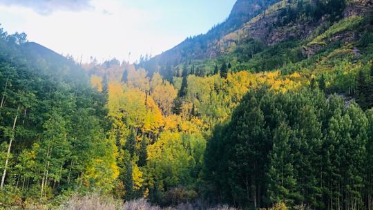 Colorado fall colors guide: When and where leaves peak in 2021 | 9news.com
