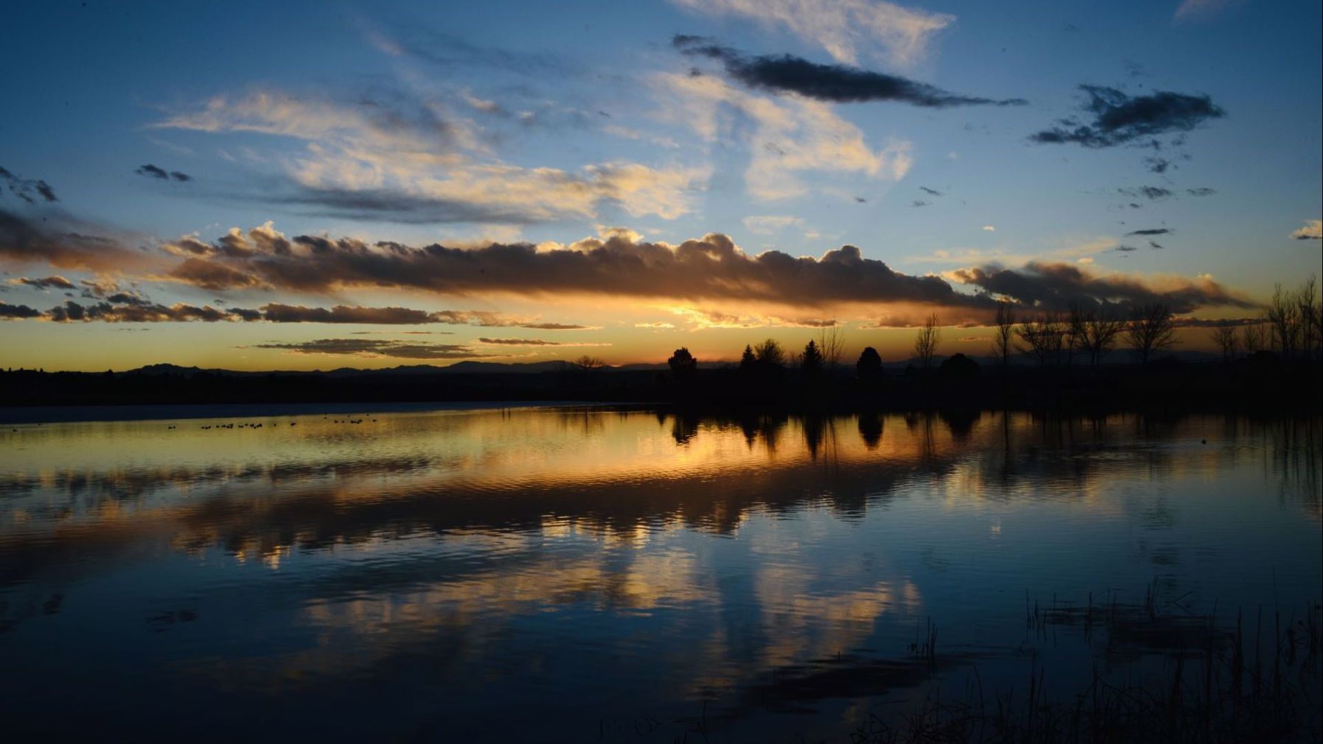 Colorado's history with area codes | 9news.com