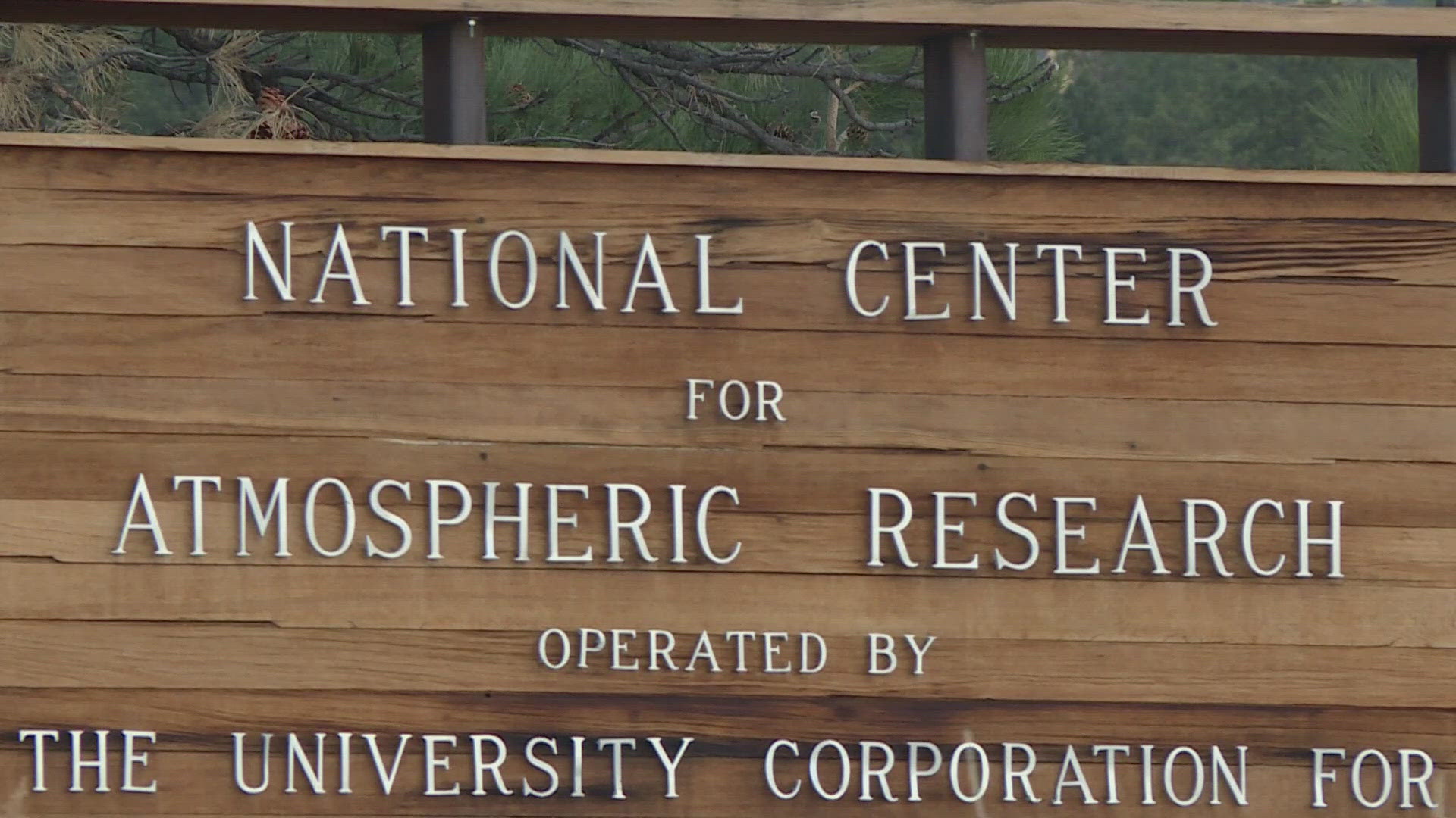 Nick Reiner was under mental health conservatorship in 2020, reports ...