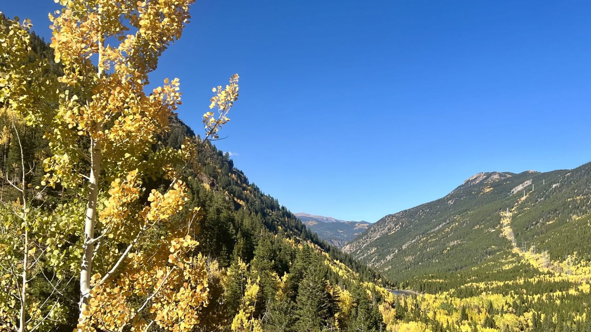 Peak fall color in Colorado: Where to see yellow leaves | 9news.com