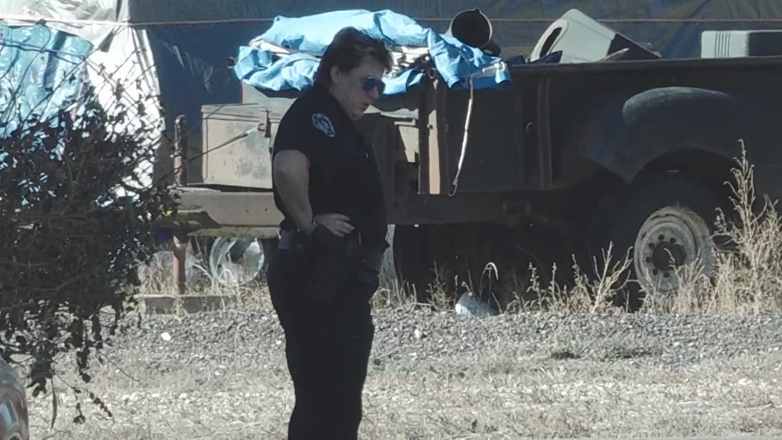 Log Lane Village Officer Dawn Fliszar pleads guilty | 9news.com