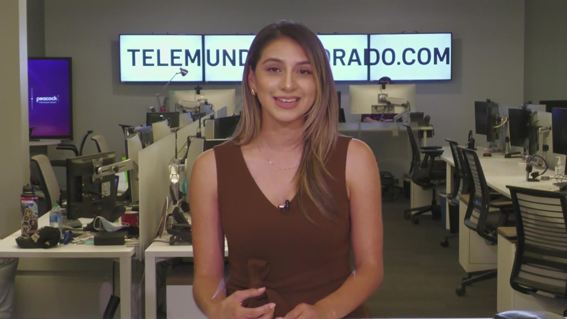 9NEWS and Telemundo Denver teaming up to 'Clear the Shelters' | 9news.com