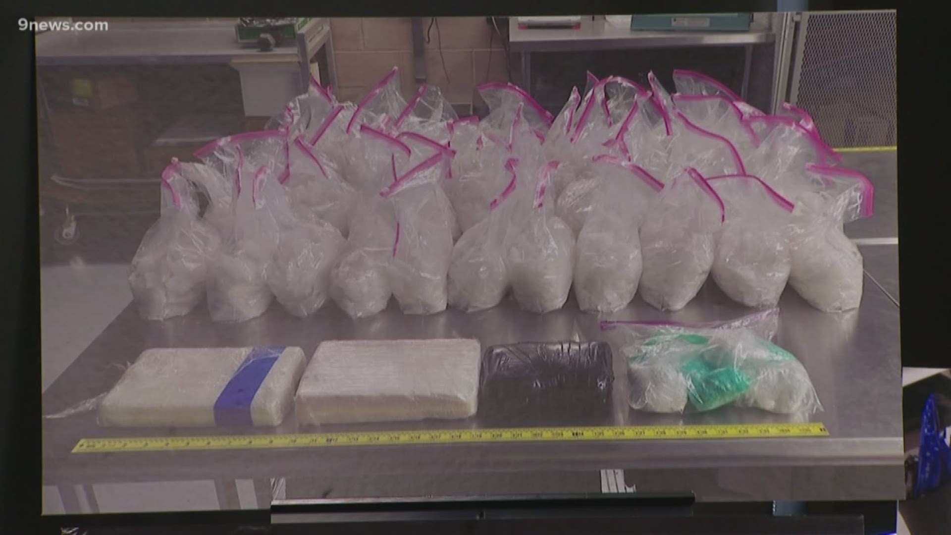 Denver-based drug cartel busted | 9news.com