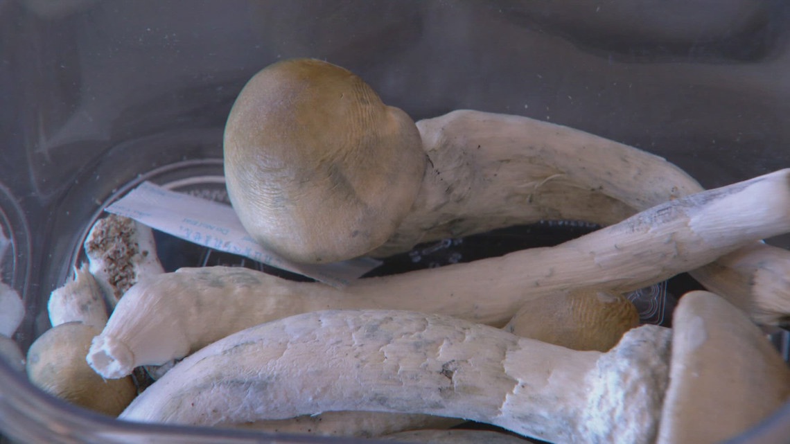 ‘Magic mushrooms’ regulation proposal on Denver City Council agenda ...