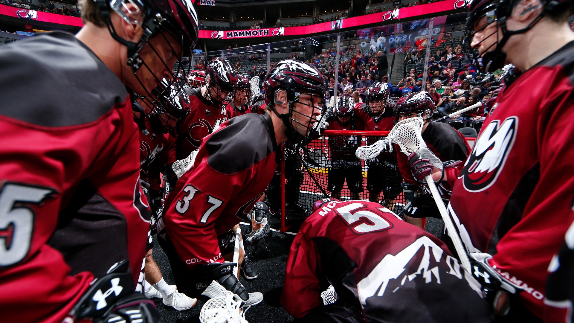 9 Things to do in Denver & Colorado this weekend: January 11-13 | 9news.com