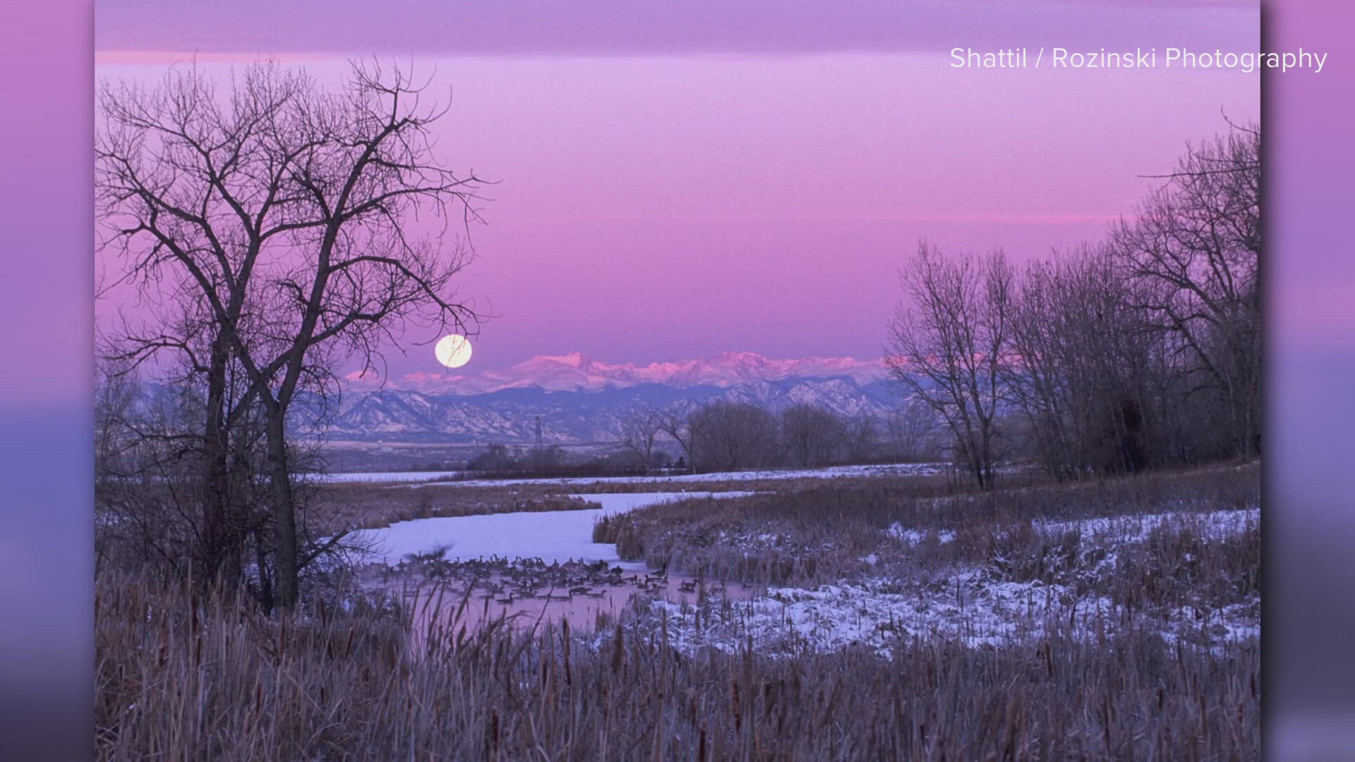 Photographer donates tens of thousands of photos to the DMNS in ...