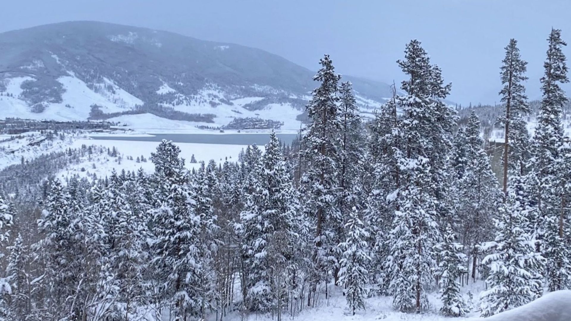Nebraska woman finds parasitic eye worms after encountering flies ...