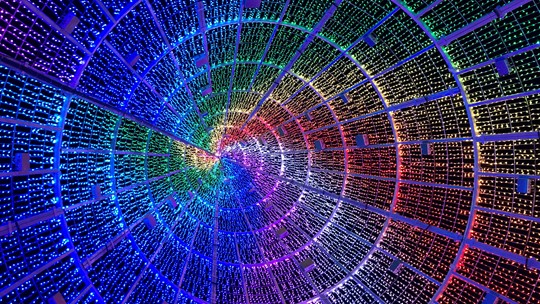 Denver's Mile High Tree moves to a new home for the holidays | 9news.com