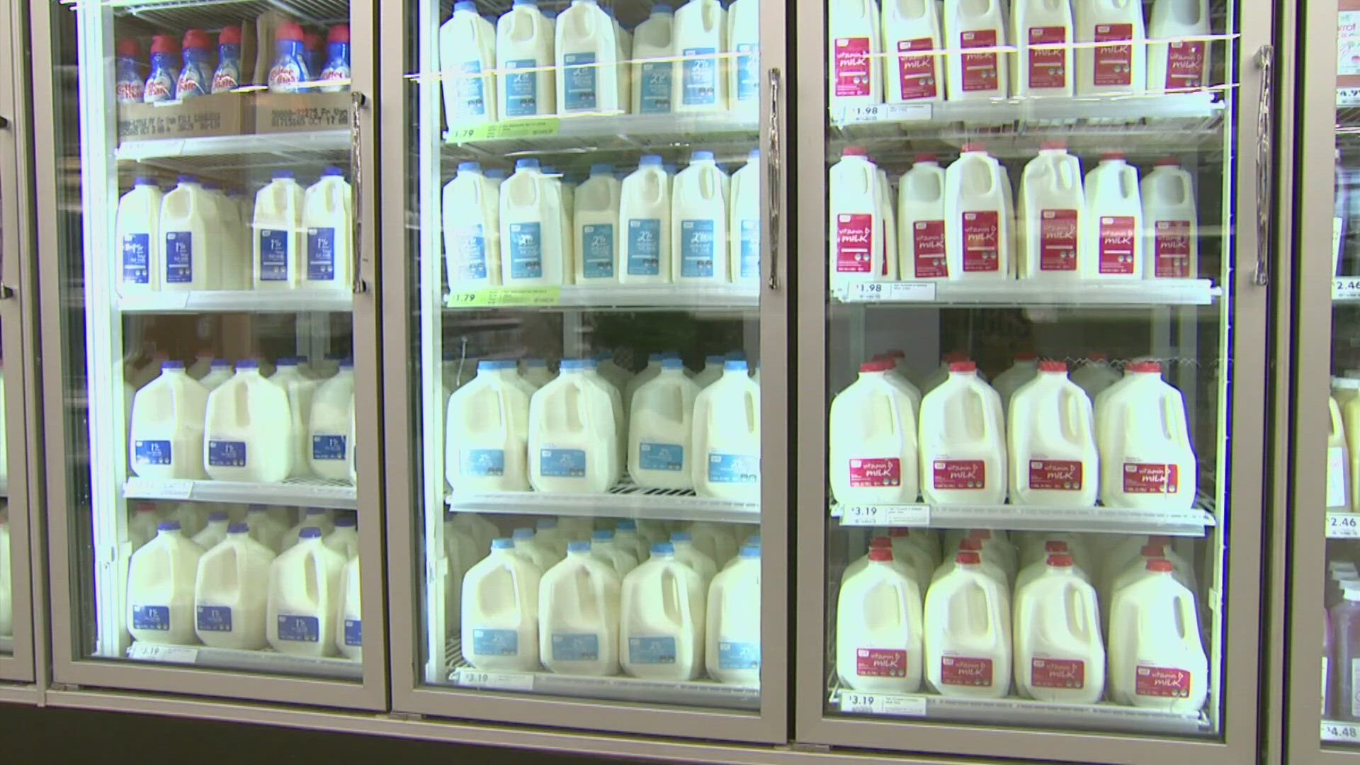 Which is the better milk for children? | 9news.com