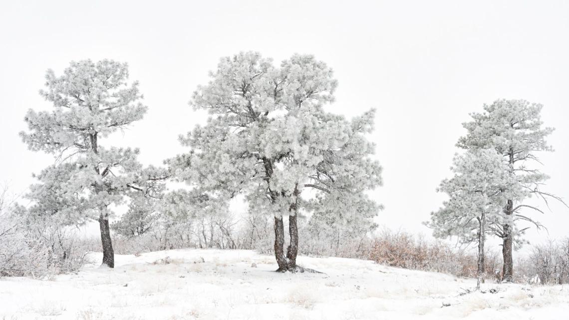 Here's how much snow fell across Colorado | 9news.com