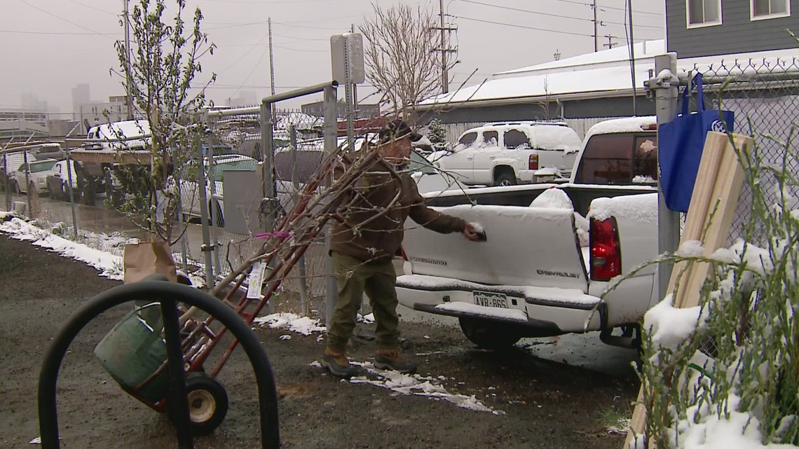 Denver plants trees to help fight heat island effect in Globeville ...
