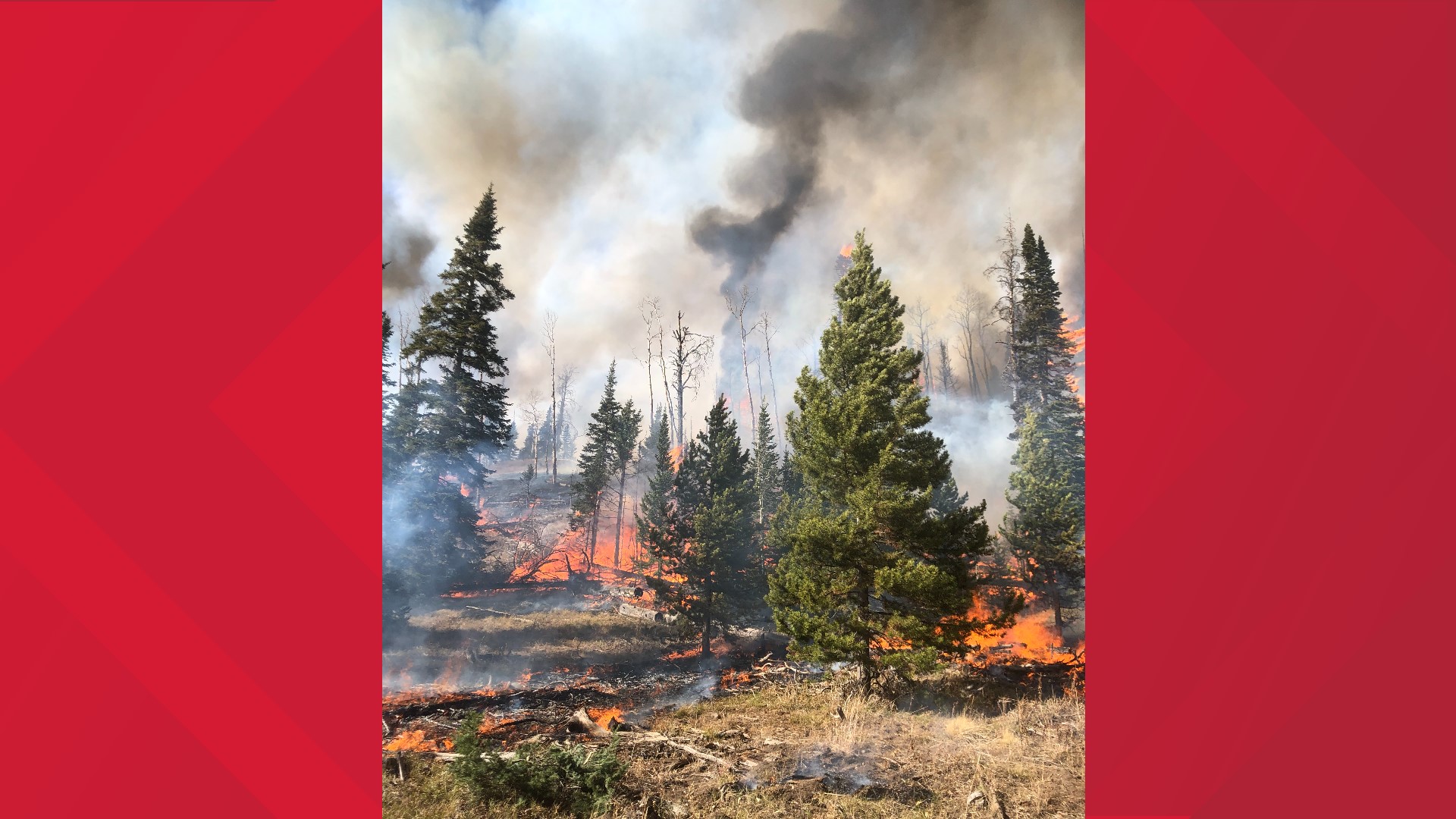 East Troublesome Fire in Grand County 37% contained | 9news.com