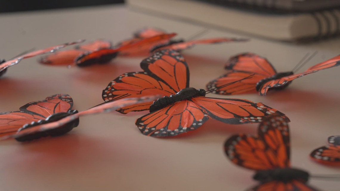 How the monarch butterfly became a symbol of immigration | 9news.com