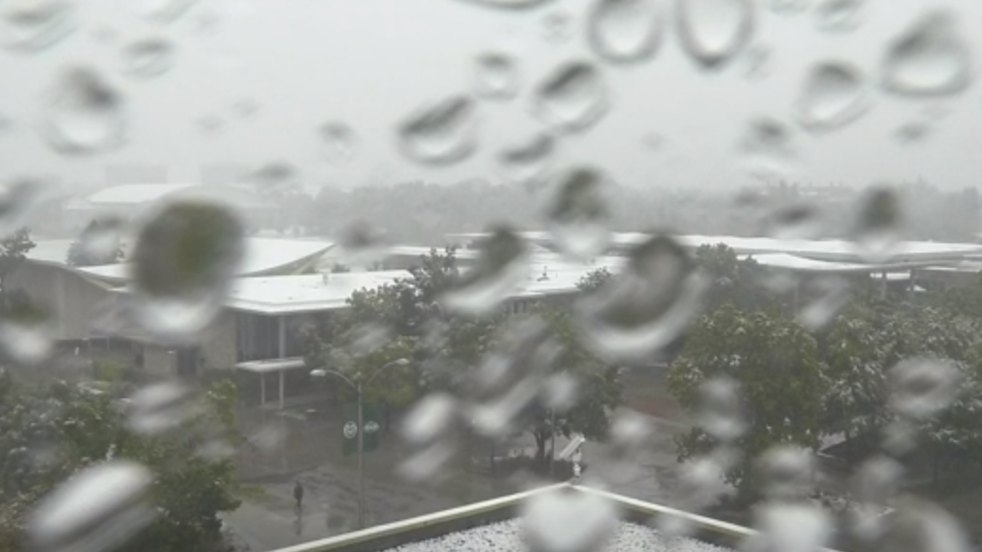 Colorado snow totals for Sept. 8 storm | 9news.com