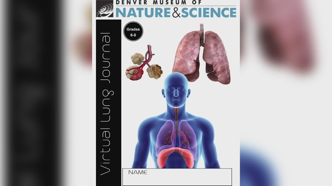 DMNS offering free virtual lung dissection class | 9news.com