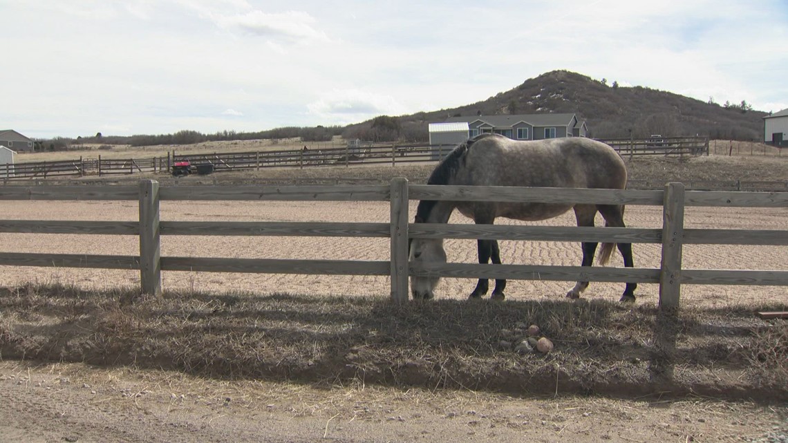 Dozens of Colorado horse farms plagued with thefts | 9news.com