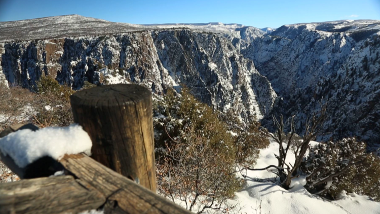 Larimer County approved to reopen some businesses | 9news.com