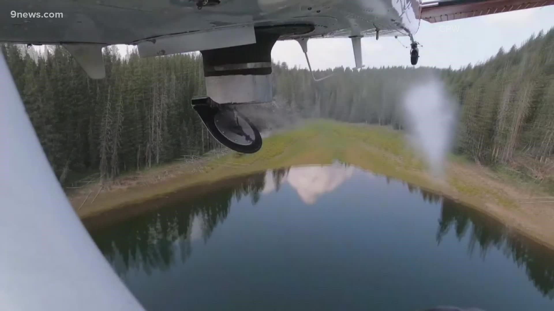 Where and how to buy a fishing license in Colorado | 9news.com